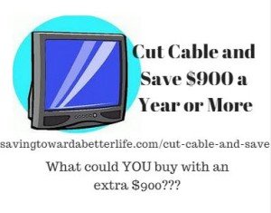 Cut Cable and Save $900 (or more!) a Year!