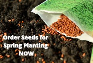 Order Your Seeds for Spring Gardens Now!