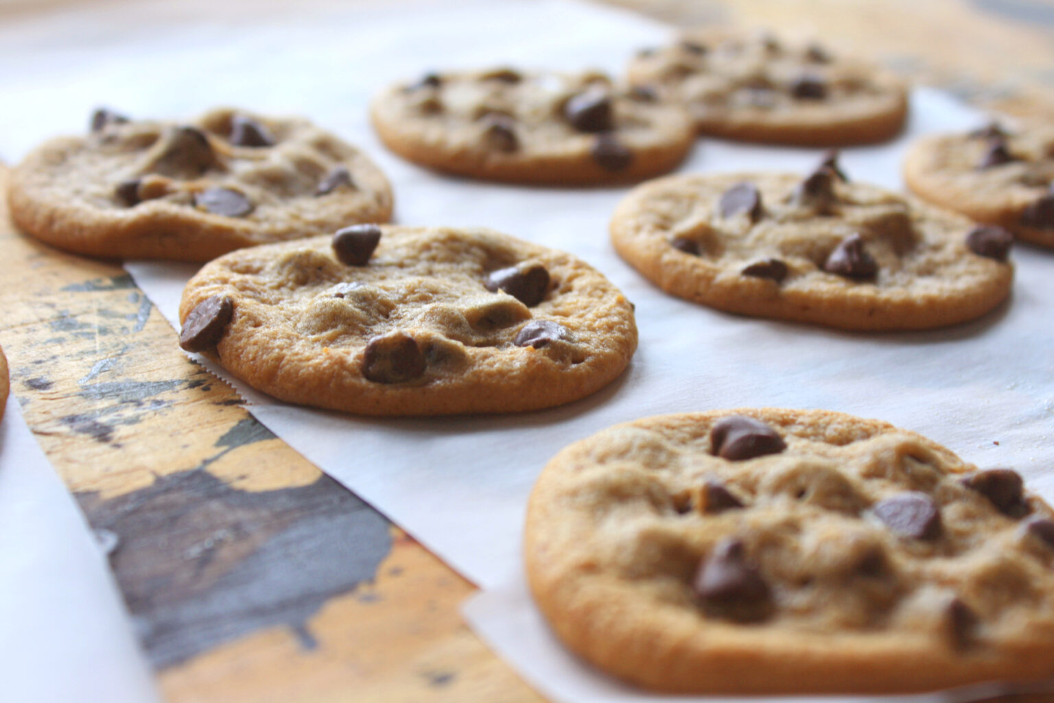 National Chocolate Chip Day May 15th | BOGO Cookies at Potbelly