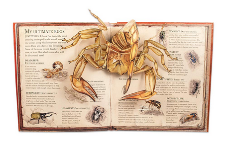 Bugs: A Stunning Pop-up Look at Insects, Spiders, and Other Creepy ...