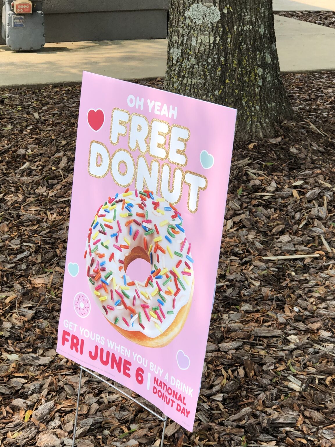 National Doughnut Day 2025: FREEBIES on Friday June 6!